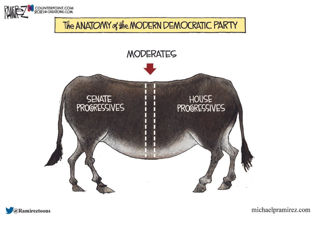 Anatomy of the Modern Democratic Party | CDN