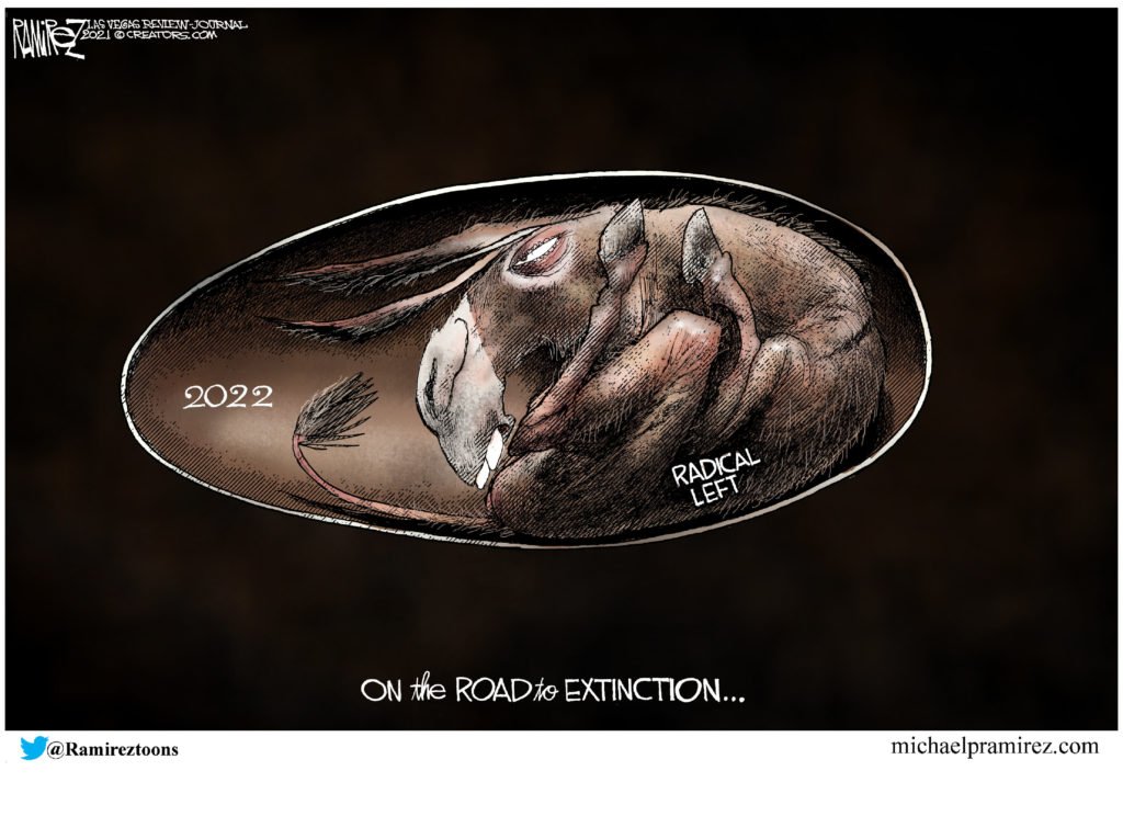 Road to Extinction | CDN